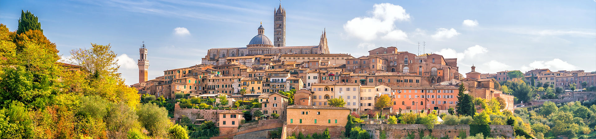 About - Allora'Scapes