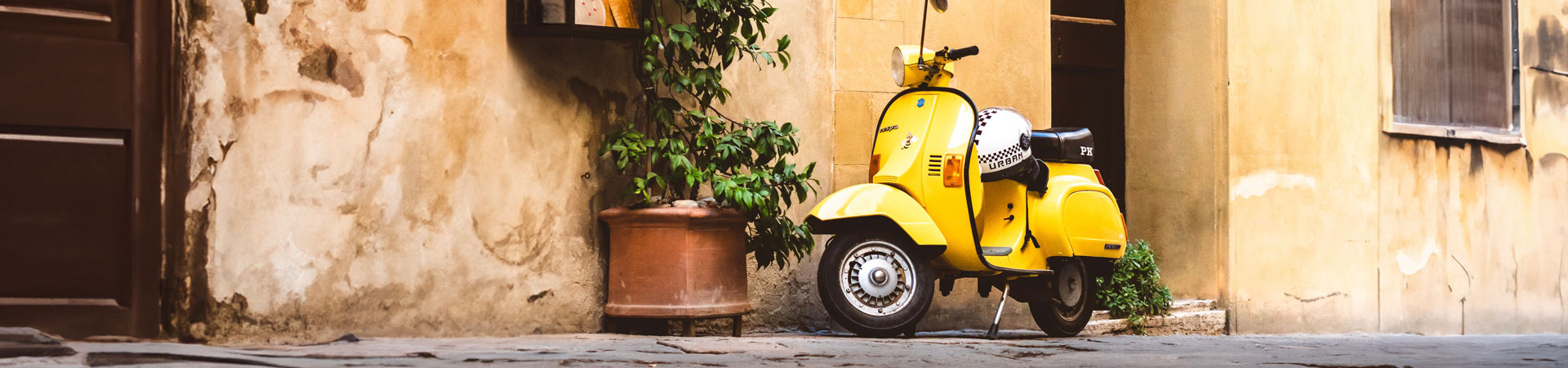 Contact - Allora'Scapes